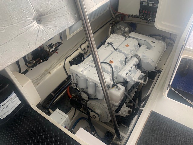 Blue marlin, beer horns and Yanmar 6CXBM-GT engines! - Power Equipment